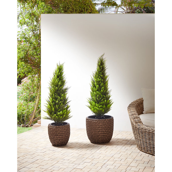 Sansibar Home Blumentopf Amaru | Wayfair.de